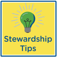 Stewardship Tips: Online resource provides tools for stewardship ...